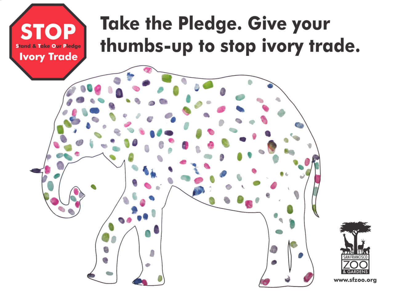 STOP Ivory Trade - San Francisco Zoo & Gardens