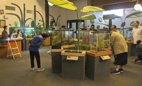 Insect Zoo - San Francisco Zoo & Gardens