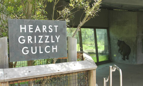 Hearst Grizzly Gulch - San Francisco Zoo & Gardens