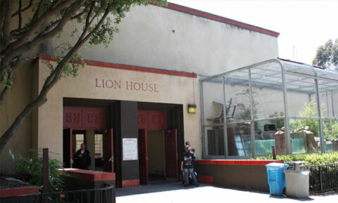 Lion House - San Francisco Zoo & Gardens