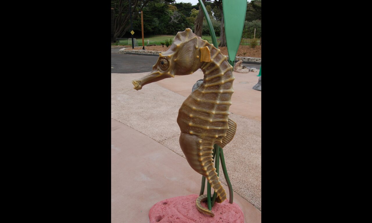 Seahorse - San Francisco Zoo & Gardens