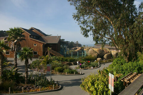 Our History: Present Day: The New Zoo - San Francisco Zoo & Gardens