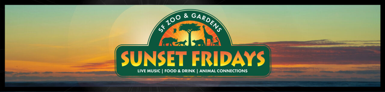 SF Zoo Sunset Fridays