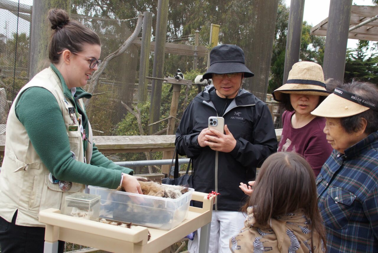 Volunteer Programs - San Francisco Zoo & Gardens